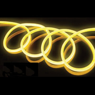 Neon Flex | González Transformación