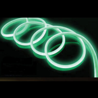 Neon Flex | González Transformación